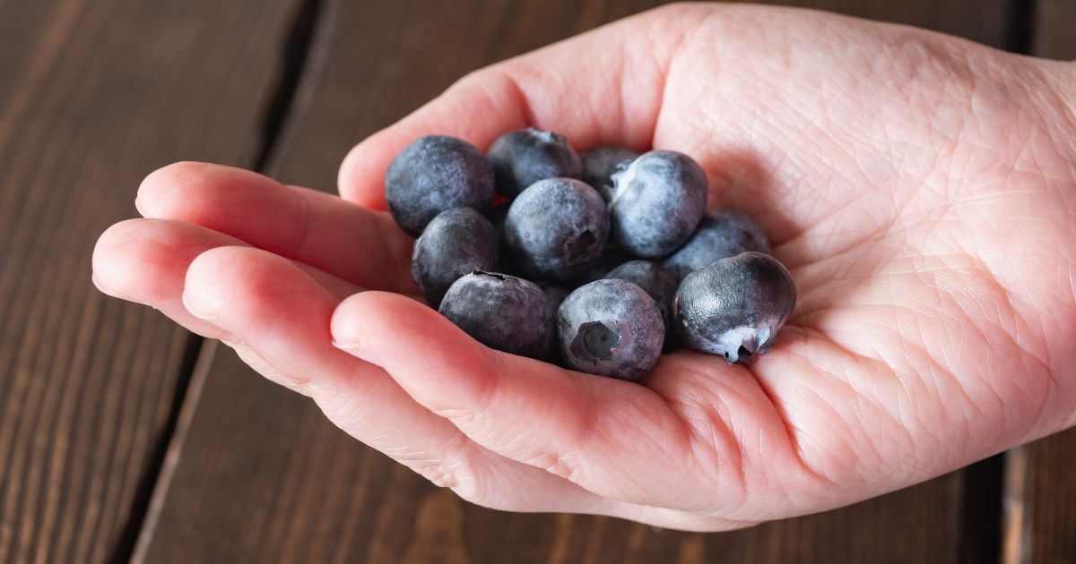 Top 10 Super Fruits for a Vibrant and Healthy Lifestyle - The Vegetable ...