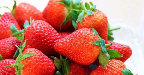 Top 10 Super Fruits for a Vibrant and Healthy Lifestyle - The Vegetable ...